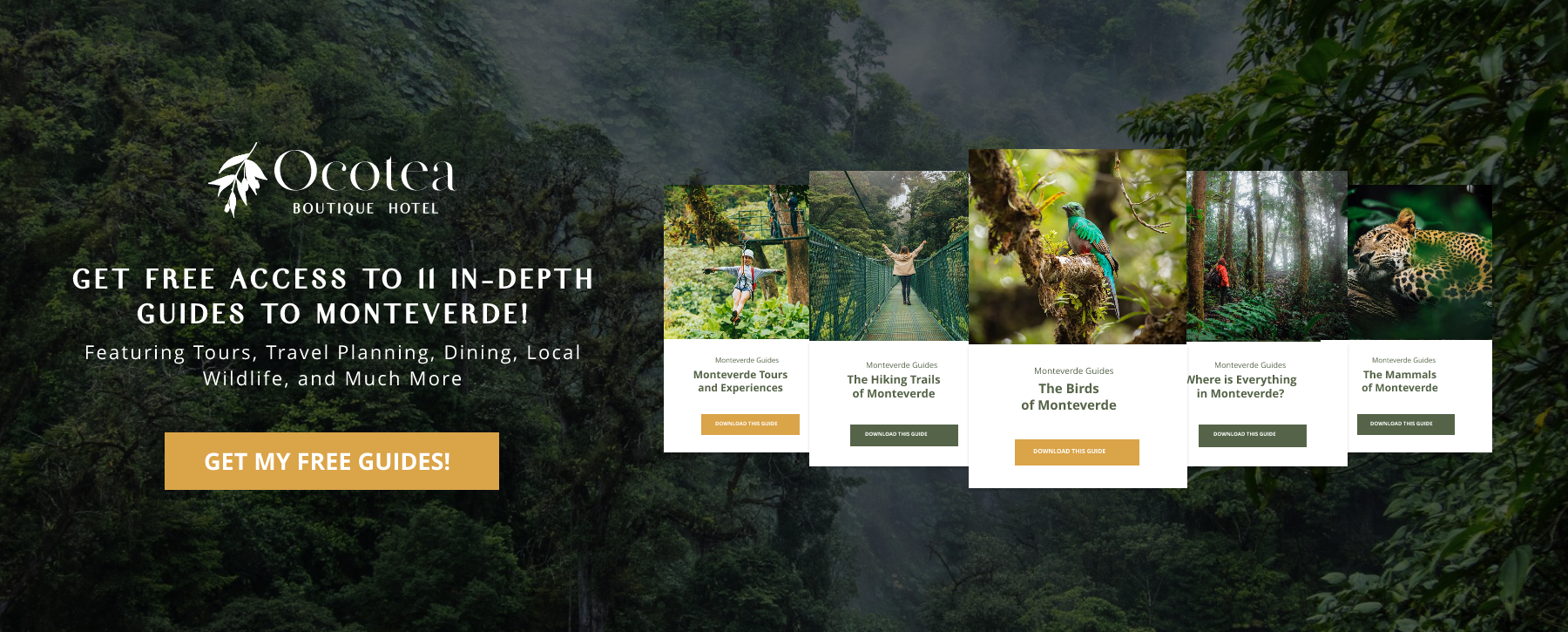 The Fantastic Wildlife of Monteverde | Monteverde Cloud FOrest Animals